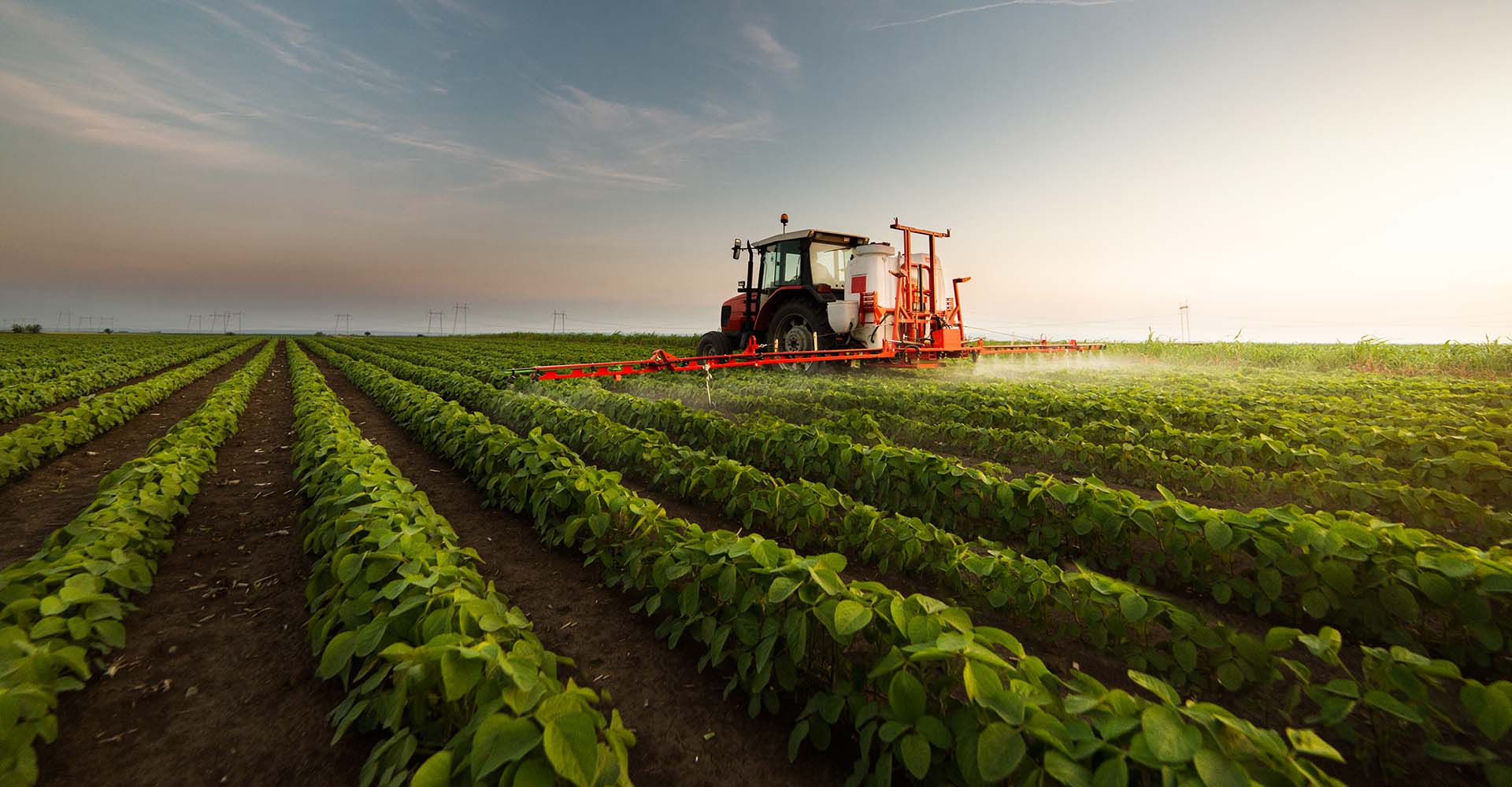 HOK Agrichem Pvt. Ltd.